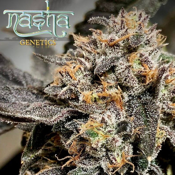 gnasher genetics